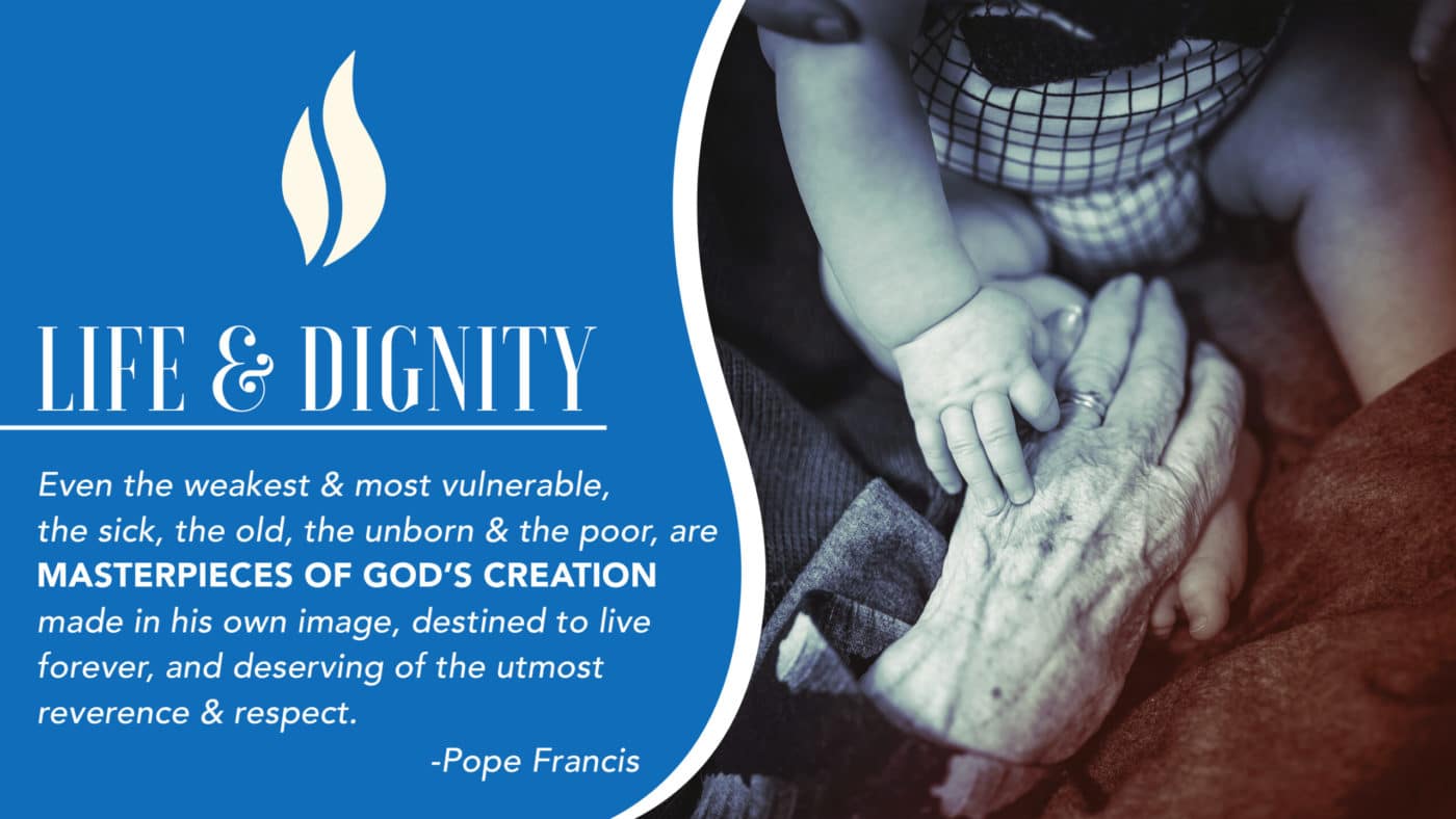 Spirit Alive Institute | Sisters of St Joseph