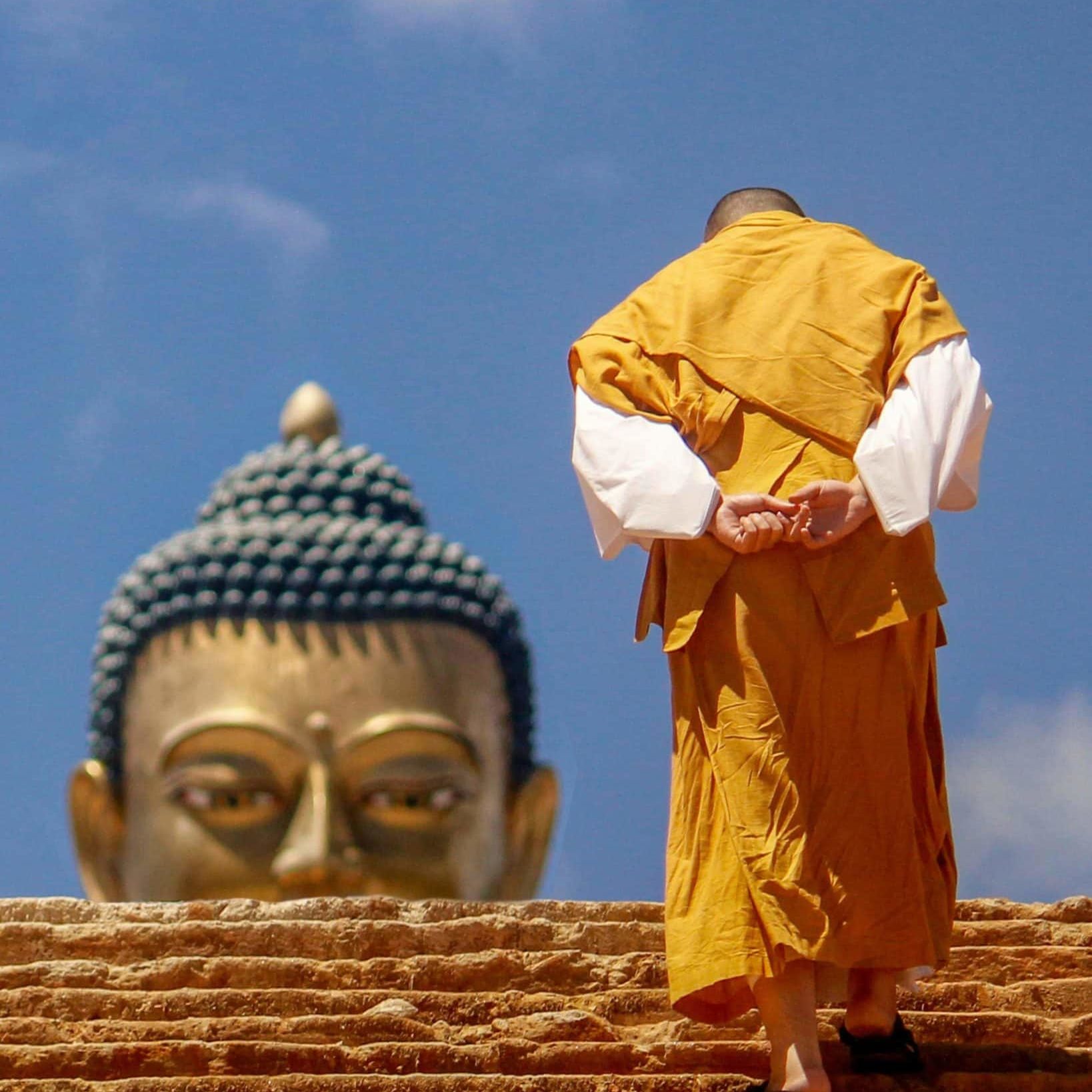 Homepage | Sisters of St Joseph